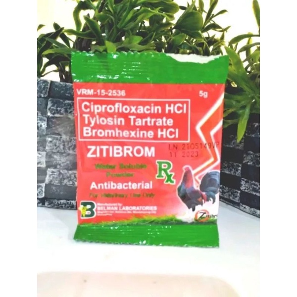 Zitibrom Water Soluble Powder Antibacterial (5g) | Shopee Philippines