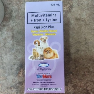 papi iron plus - Best Prices and Online Promos - Jul 2024 | Shopee ...