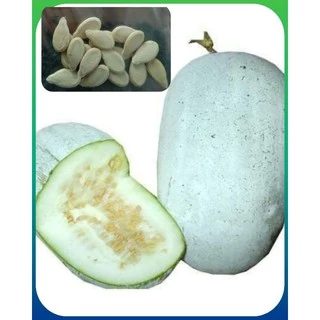 Shop kundol for Sale on Shopee Philippines
