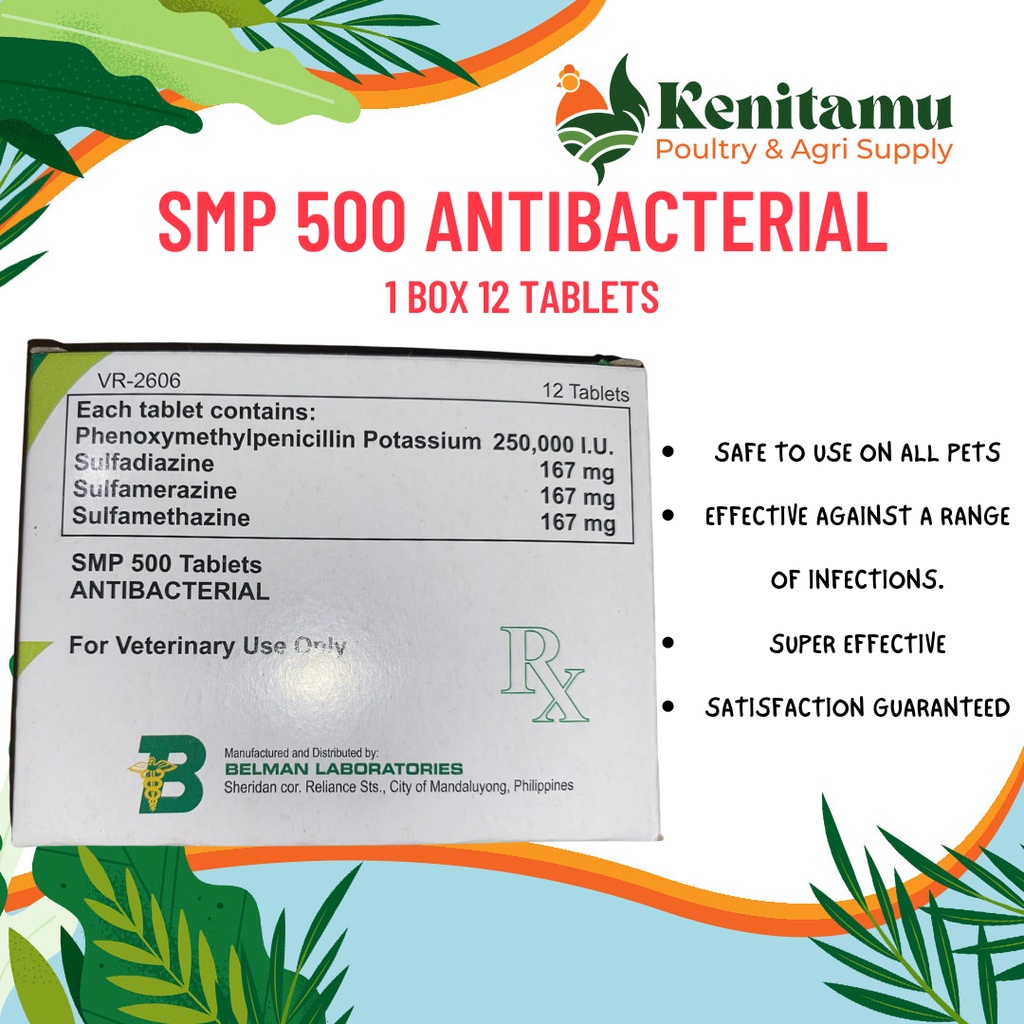 SMP 500 ANTIBACTERIAL (1 BOX 12 TABLETS) SMP 500 ANTIBACTERIAL (1 BOX ...