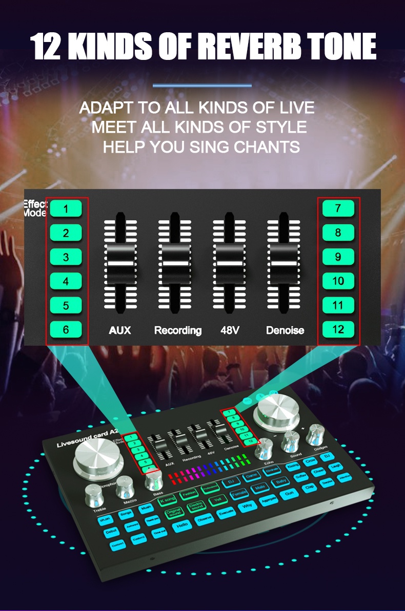 RAYHAYES Bluetooth A2 Live Sound Card Set With Condenser Mic For Live ...