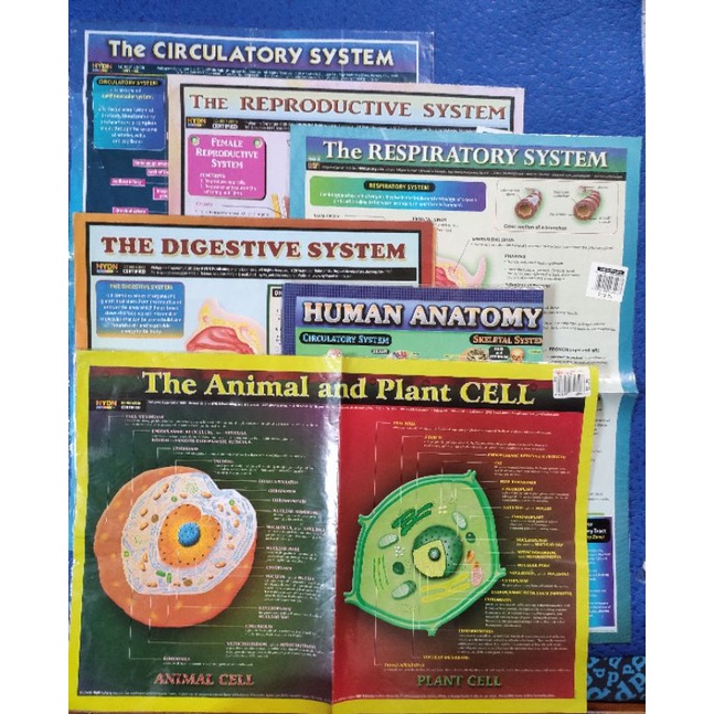 Educational Science Charts - 6 pcs | Shopee Philippines
