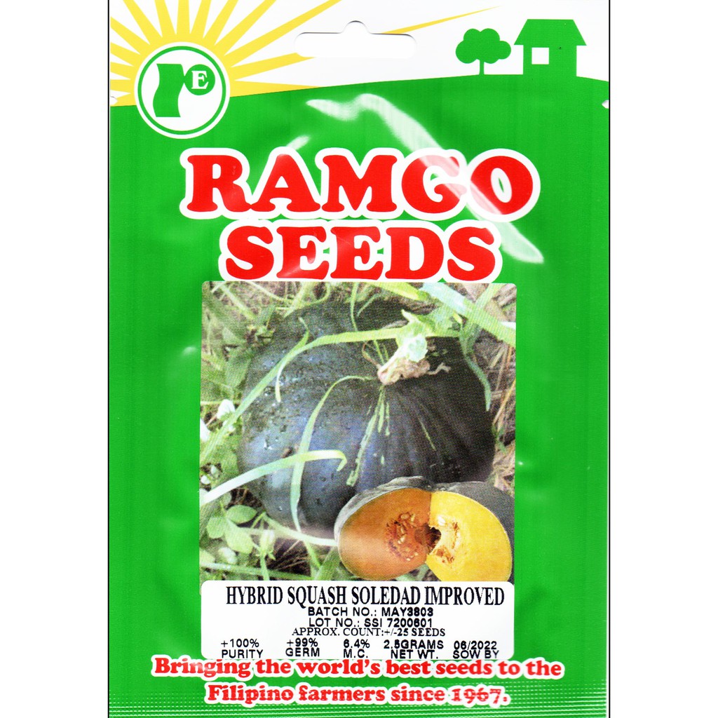 Ramgo RPD Seeds HYBRID SQUASH SOLEDAD IMPROVED 2.5g (ORIGINAL PACKAGING ...