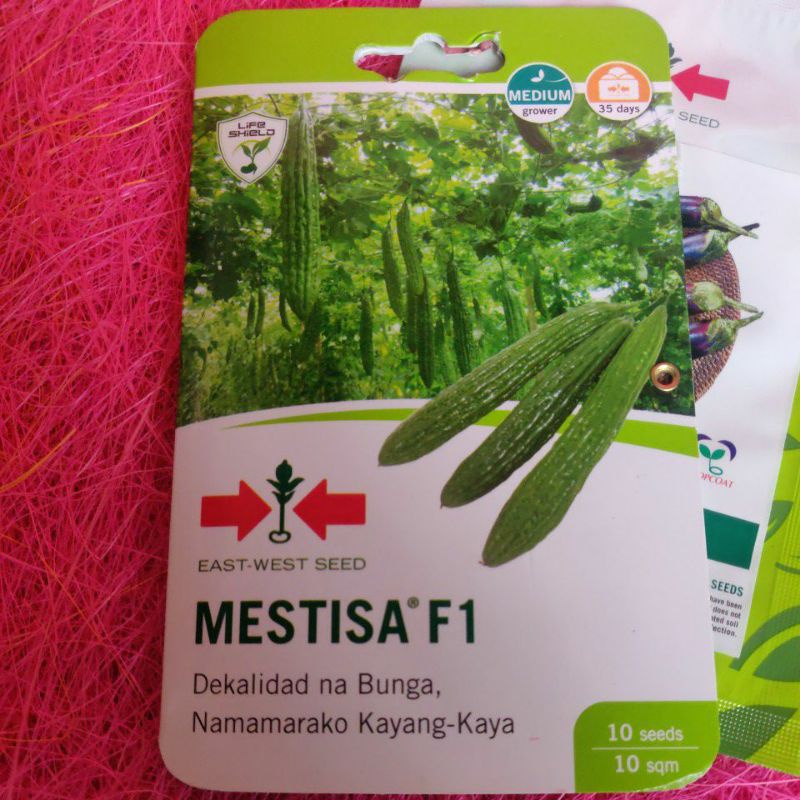 AMPALAYA HYBRID SEEDS AMPALAYA SEEDS BITTER GOURD SEEDS MESTISA F1 ...
