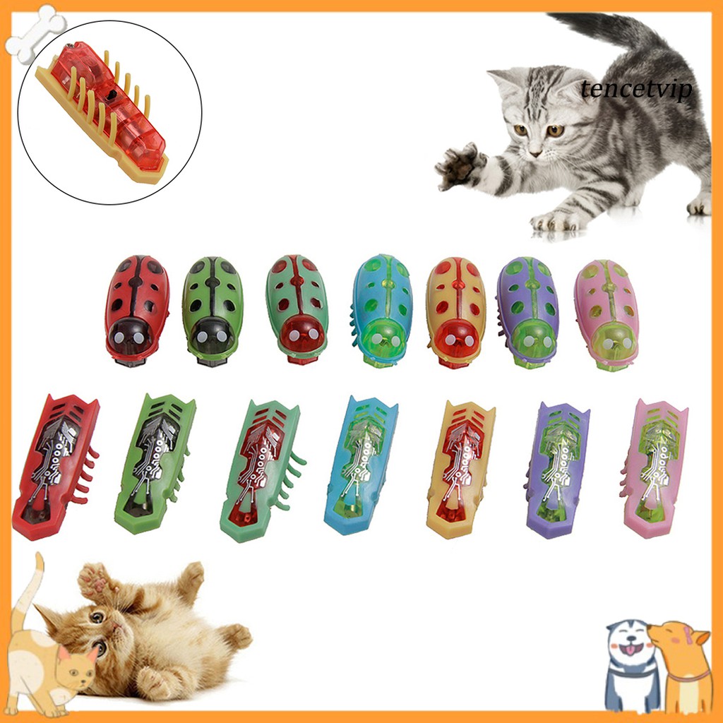 【Vip】Pet Cats Kitten Cute Ladybug Shape Electronic Robotic Insect ...
