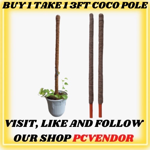 BUY 1 TAKE DURABLE TO USE ORGANIC 3FT COCO POLE FOR CLIMBING PLANTS ...