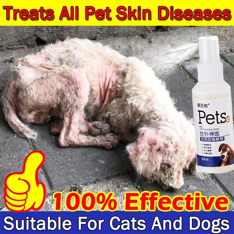 Antibacterial Spray For Dog And Cats Treatment Of Skin Diseases Mange ...