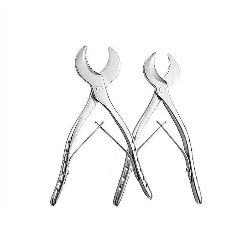 Stainless Steel Dental Plaster Scissors Gypsum Scissors Dentistry ...