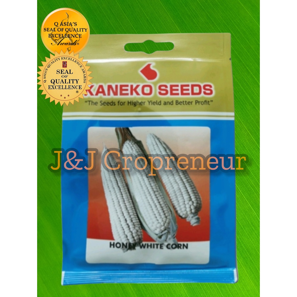 HONEY WHITE CORN LAGKITAN CORN 51 SEEDS (KANEKO SEEDS) | Shopee Philippines