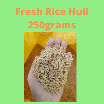 Fresh Rice Hull - 1 Liter / 250g | Shopee Philippines