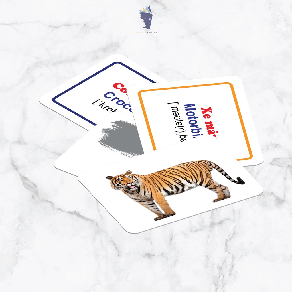 Book - Smart Flashcard Set (18 topics - 288 cards) | Shopee Philippines