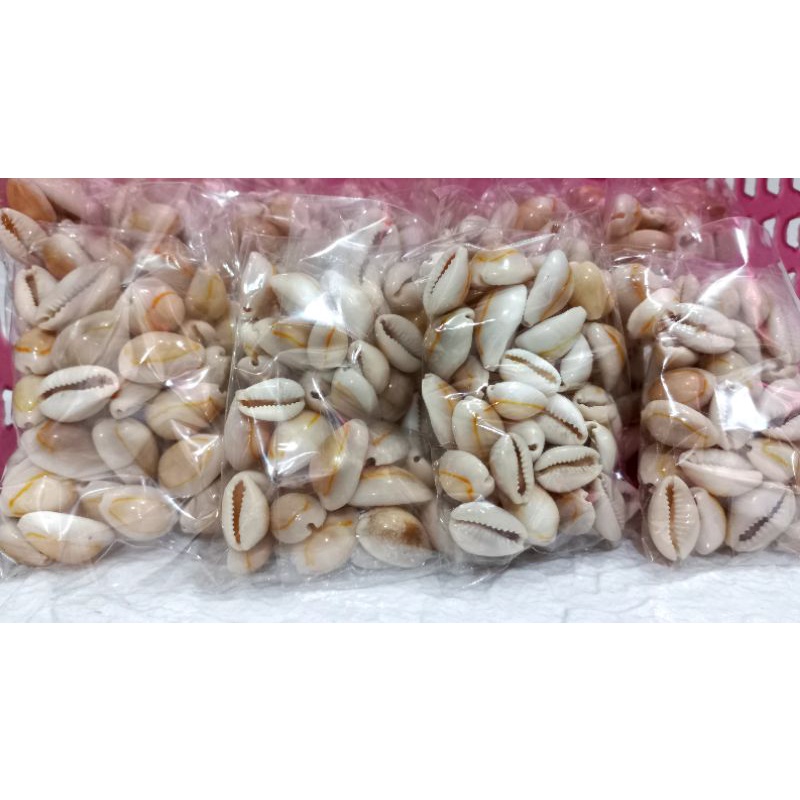 Sigay Shells 50 Pieces | Shopee Philippines