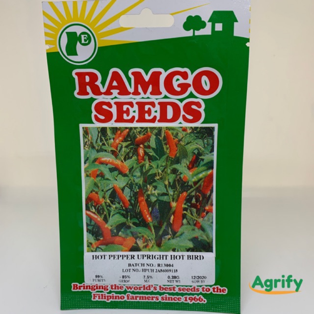 Hot Pepper Upright (Sili Labuyo) | 700 Seeds | 100% Pure | 95% ...