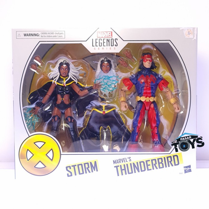 Marvel Hasbro X-Men Series Collectible Storm Thunderbird Action Figure ...