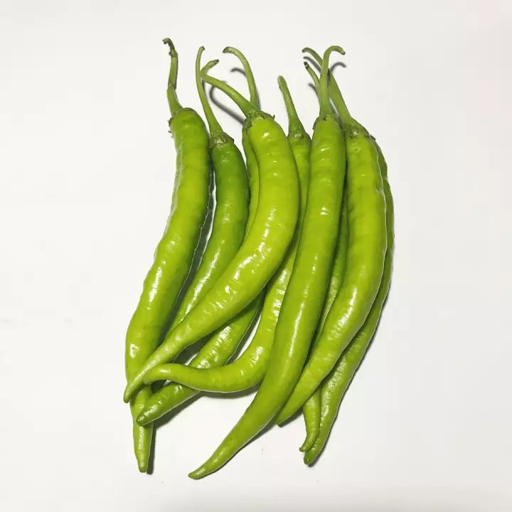 sili haba local long chili chilli finger pepper plant seeds | Shopee ...
