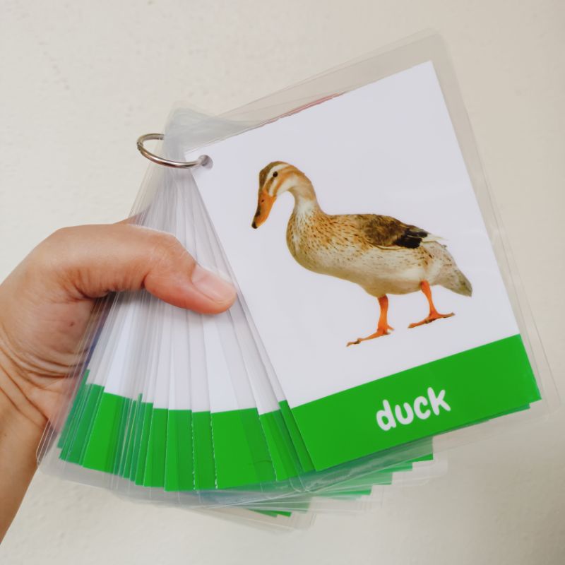 Wild animals insects farm animals sea animals educational flash cards ...