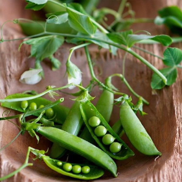 Little Marvel Pea Seeds - Marvel Peas Seeds - Vegetable Beans Seeds ...