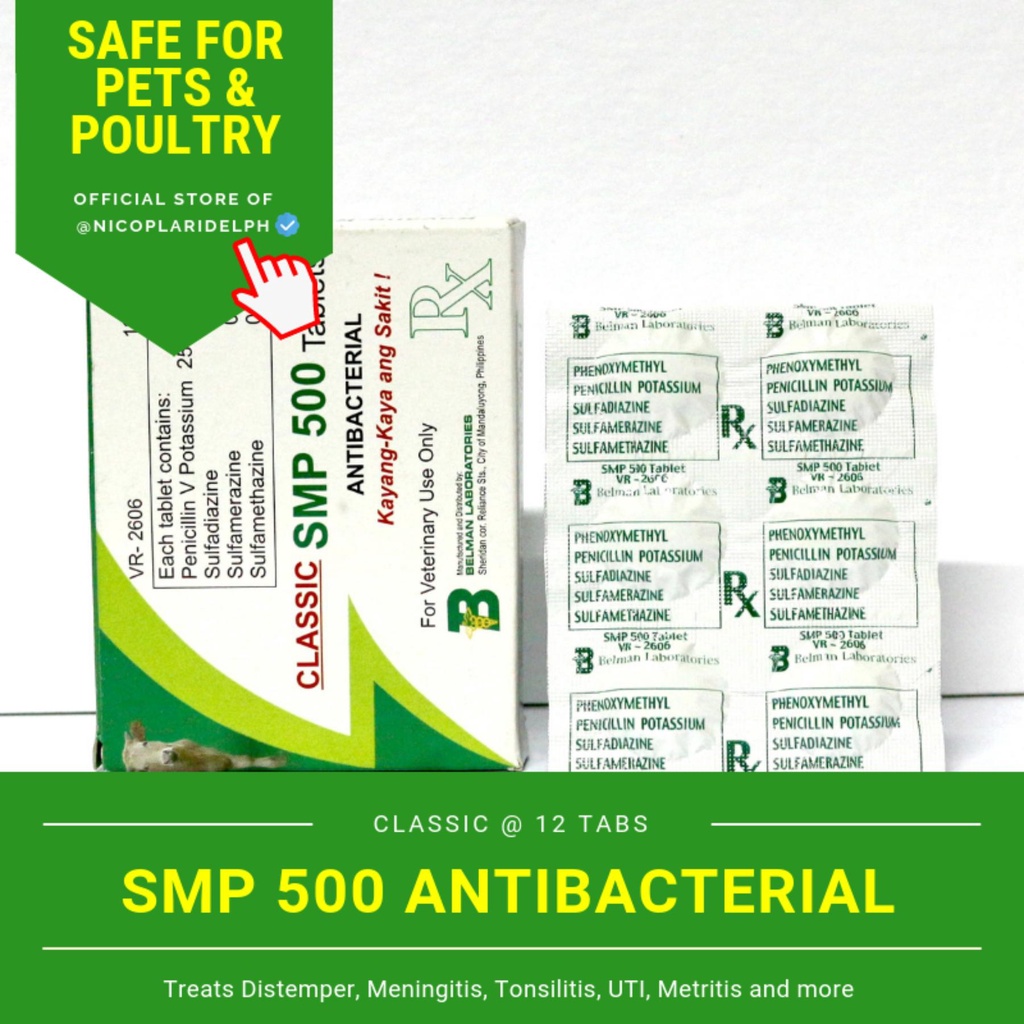 SMP 500 Anti bac terial (12 tablets x 1 Box) sold per box | Shopee ...