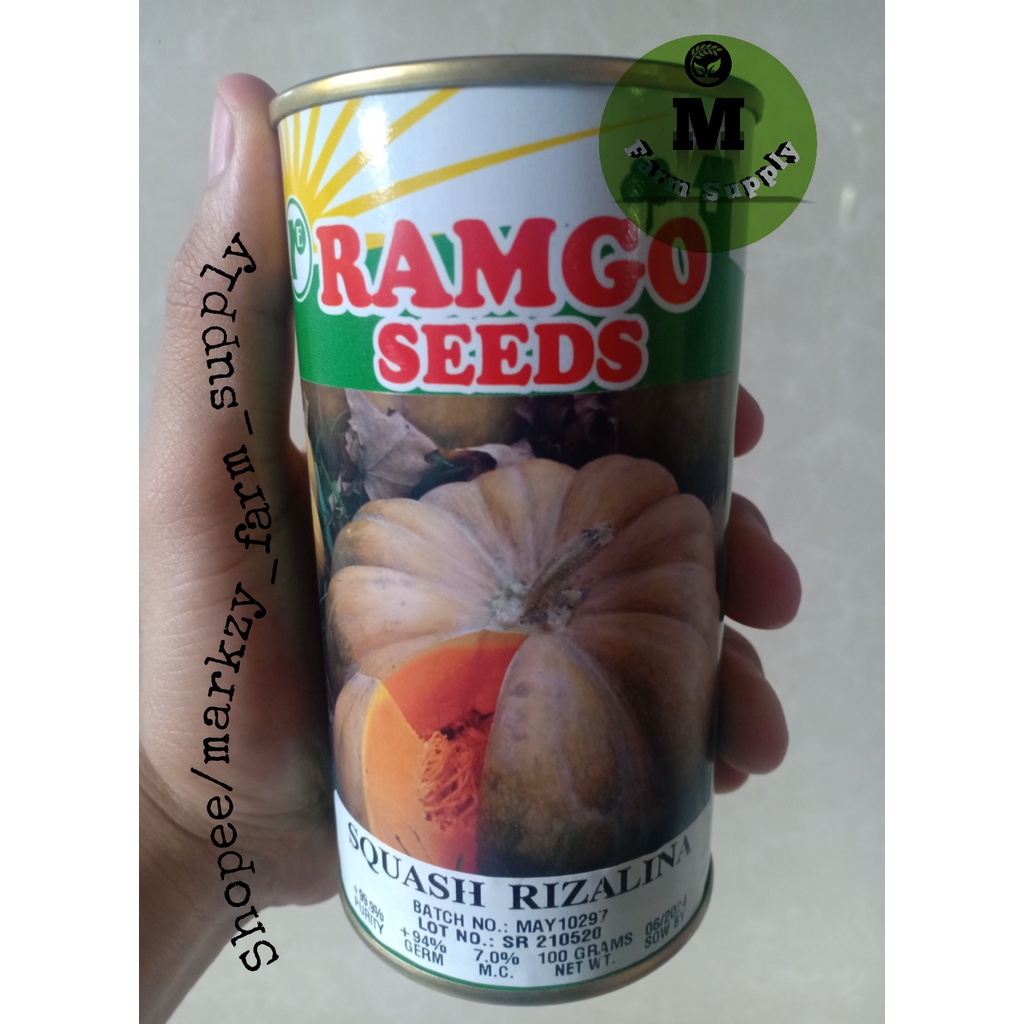 Ramgo Seeds Original and High Quality Squash Rizalina 100 grams in can ...