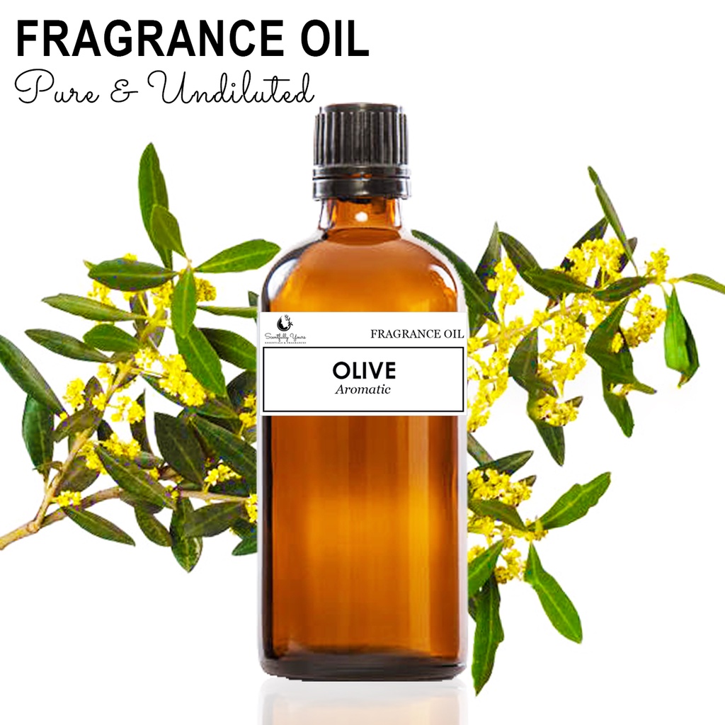 OLIVE - Aromatic Fragrance Oil (500ml - 1 Liter) | Shopee Philippines