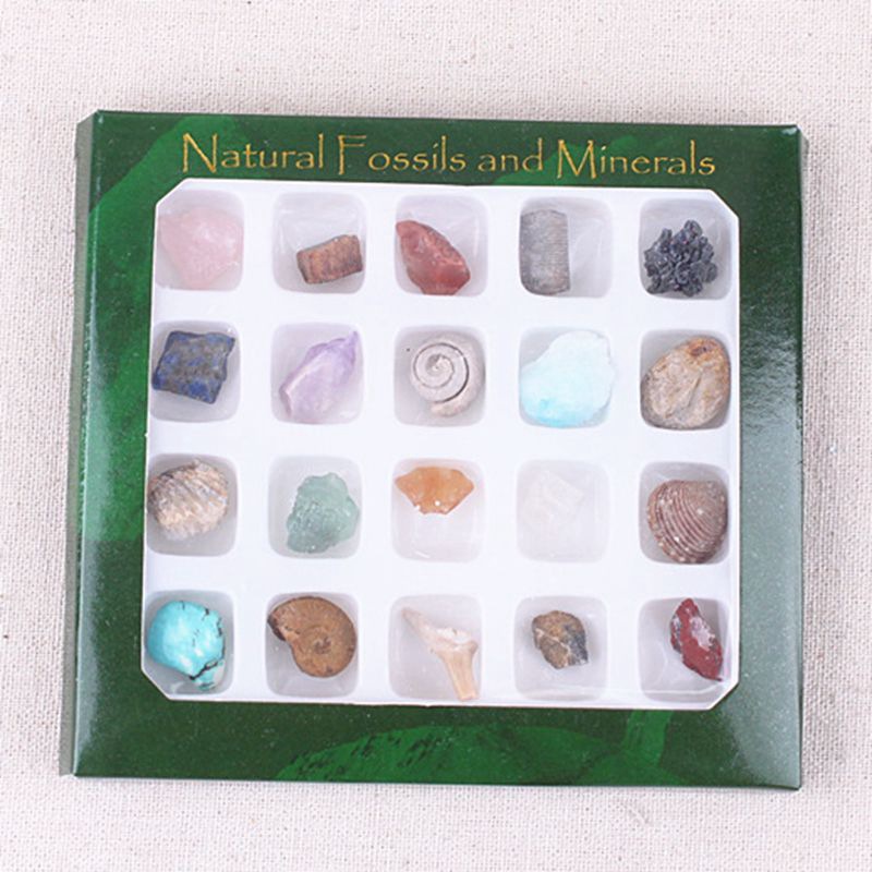 20pcs/Set Random Crystals And Stones Healing Minerals of Natural Stone ...