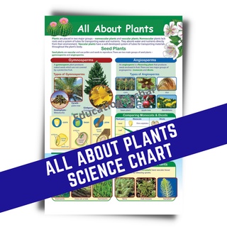 ALL ABOUT PLANTS POSTERS CHARTS I ALL ABOUT SCIENCE CHARTS, A4 Size ...