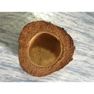 Shop bunot for Sale on Shopee Philippines