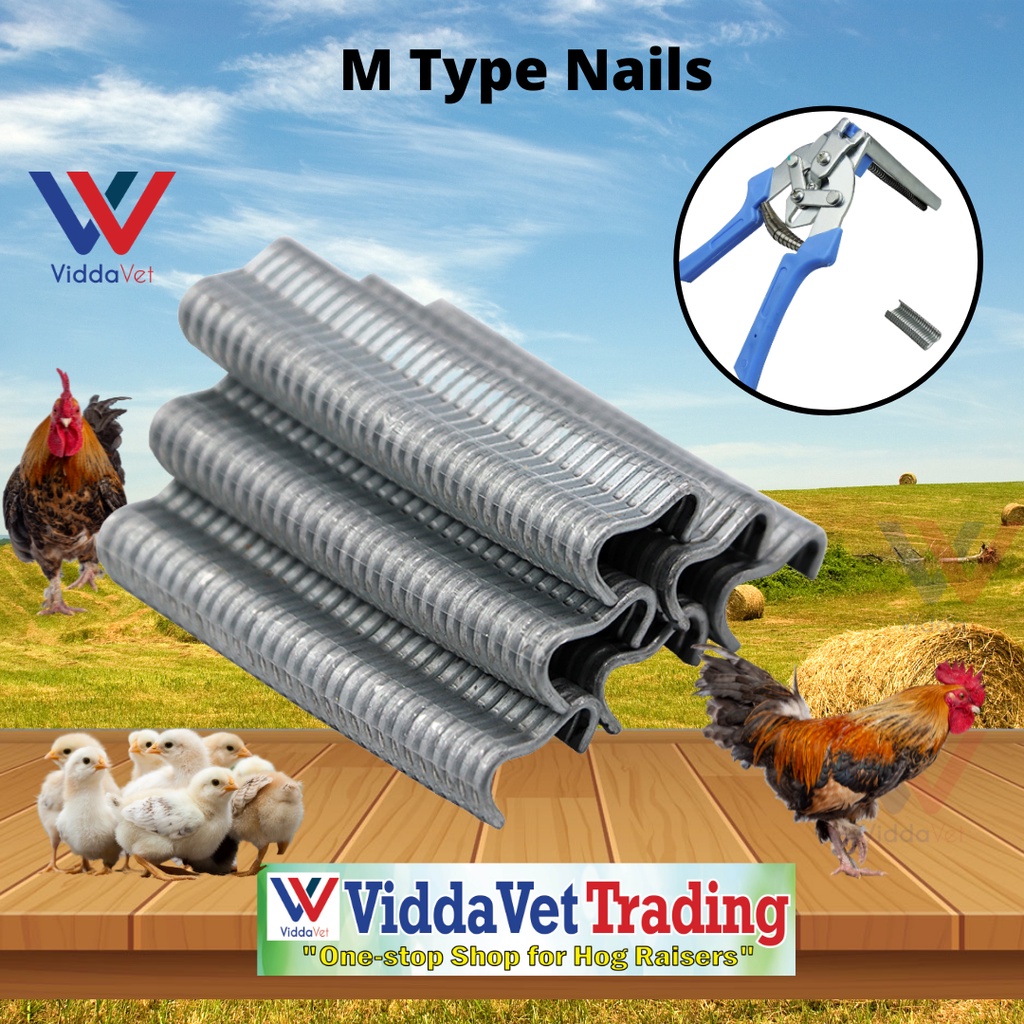 POULTRY 600pcs M Type clip Nail Fastener or Staple For Animal Rabbit ...