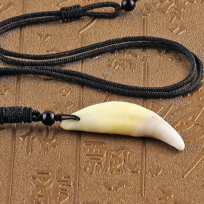 Natural black dog tooth tooth Necklace Pendant | Shopee Philippines