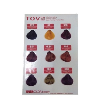TOV CH Hair Color Tov Ch hair | Shopee Philippines