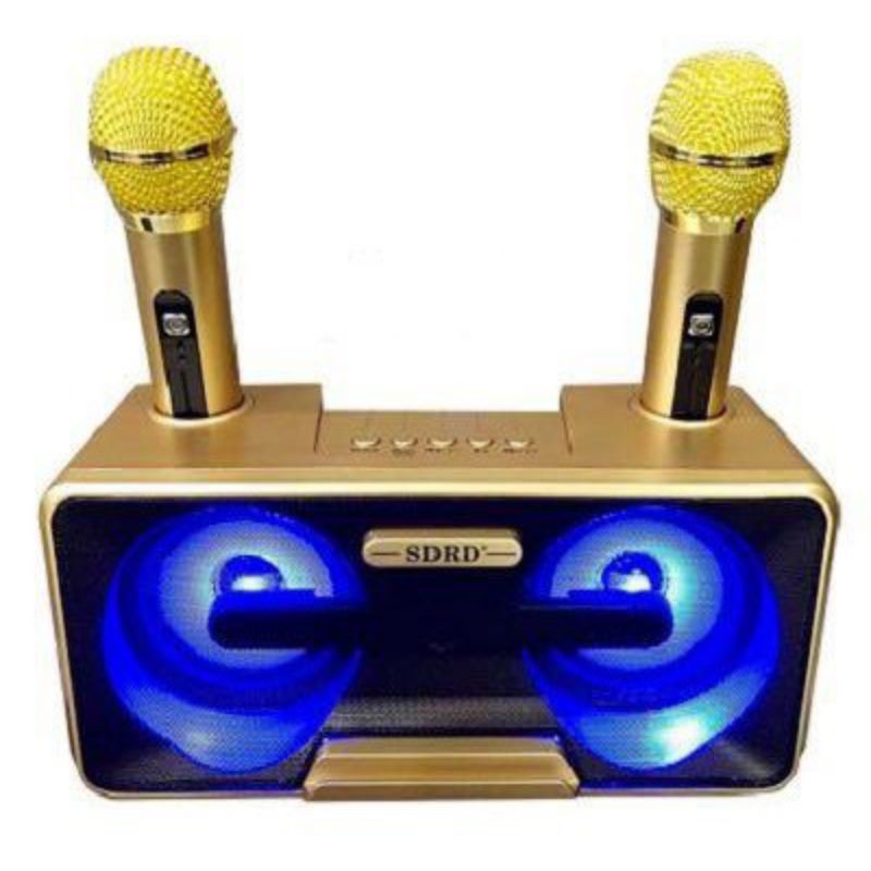 SDRD SD-301 Wireless Bluetooth Dual Microphone Karaoke Family KTV Party ...