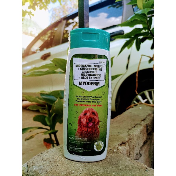 Myoderm antibacterial & antifungal pet shampoo 200ml | Shopee Philippines
