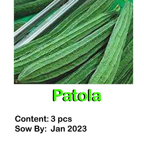 Vegetables Seeds kamatis talong pechay ampalaya sigarilyas upo lettuce ...