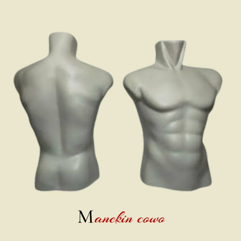 PRIA Male Mannequin Display/Half Body Sculpture/PREMIUM Male Body ...