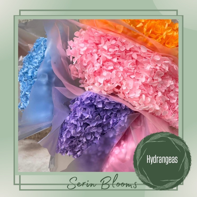 Preserved Hydrangea (whole)with stem Dried Flower | Shopee Philippines