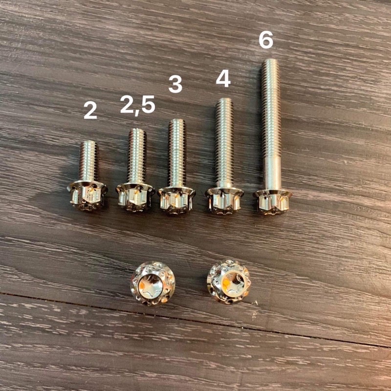 Snail 8Li Salaya Many Sizes Attached Many Different Positions (Quality ...