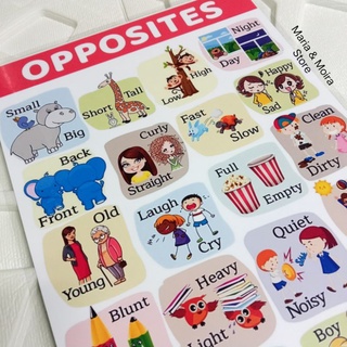 OPPOSITES Chart | A4 Size | Laminated Educational Wall Charts, Chart ...