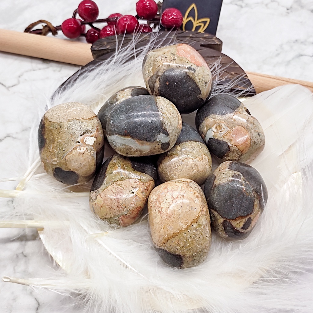 Septarian Atlantis Indonesian Stone (Concretion Stone) Tumbled Polished ...