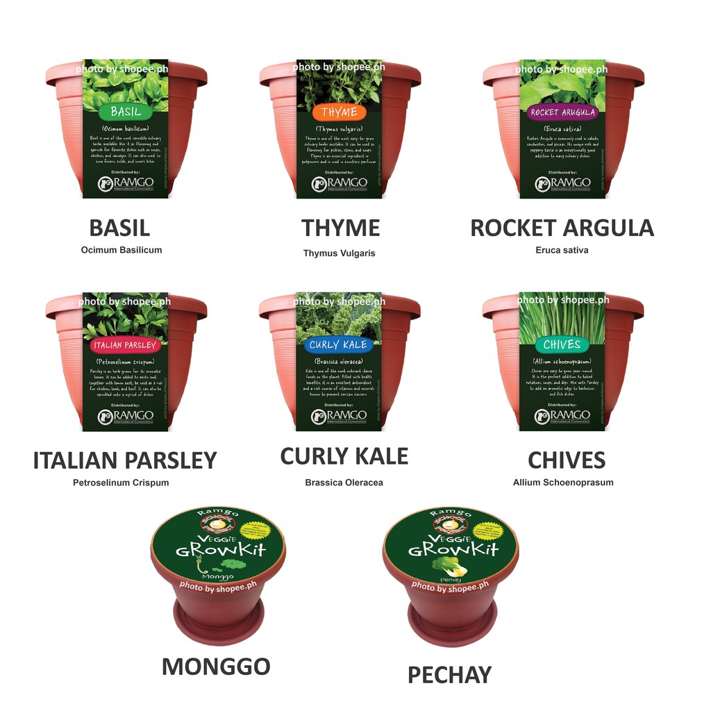 Ramgo Grow Kit - Basil Rocket Aragula Italian Parsley KECORP_S1 ...
