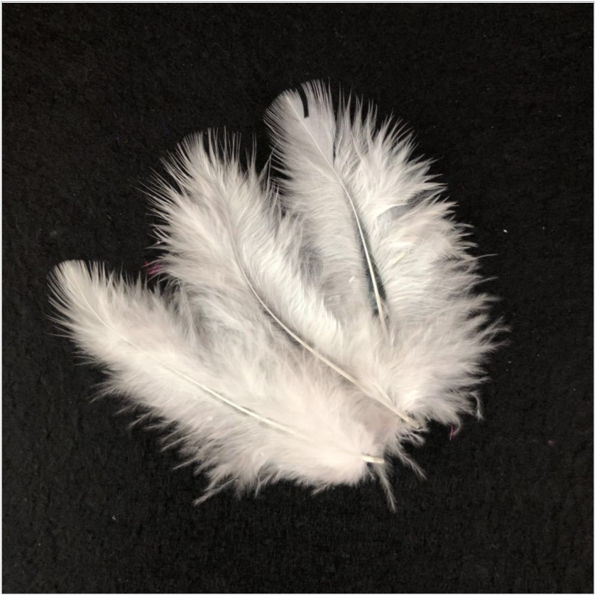 100pcs Natural Feathers Decor Small Floating Colorful Feather Plume ...
