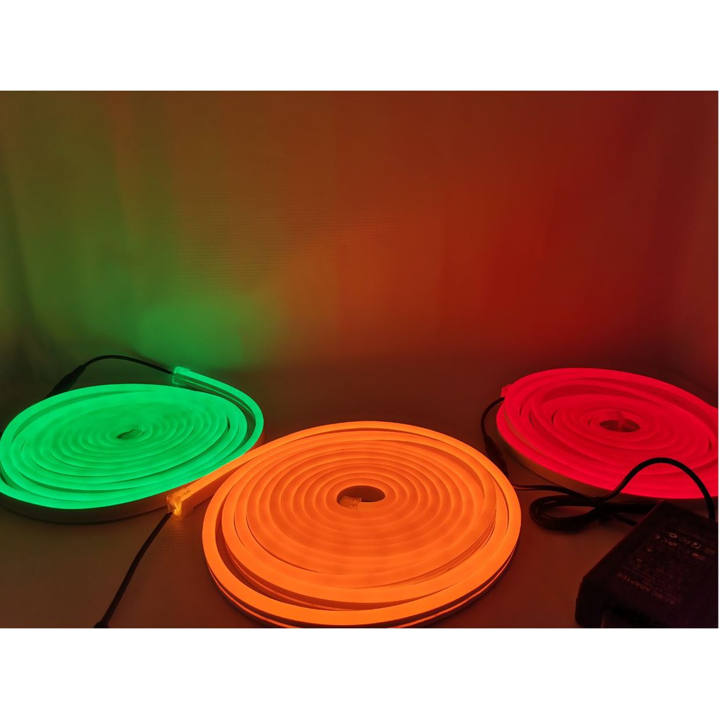 NEON LED LIGHTS (5 METERS) | Shopee Philippines