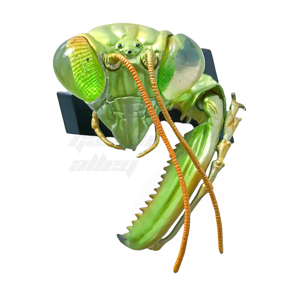 Takara Tomy 3D Capsule Encyclopedia Insect Face Picture Book Ref Magnet ...