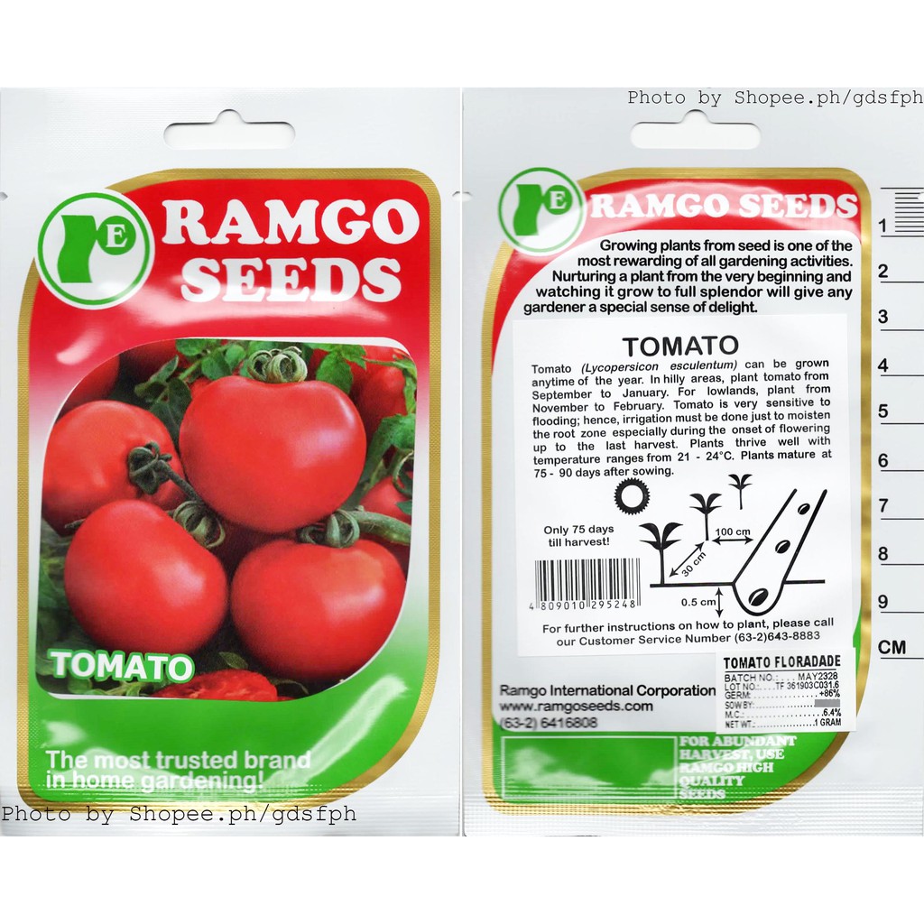 Ramgo RPO Seeds Tomato Floradade & Cherry Tomato (Original Pack) GDSFPH ...