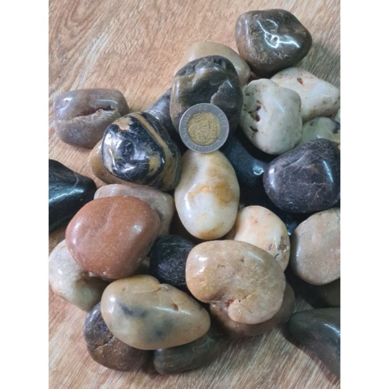 White marble stone/pebbles stone/aquarium stone(1kg) | Shopee Philippines