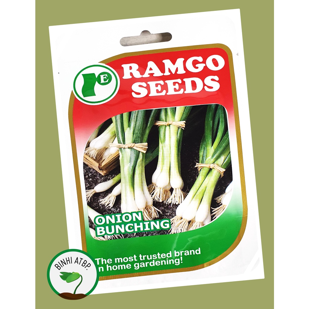 Ramgo Onion Bunching Sibuyas Dahon Kokuryo (Scallions/Spring Onions ...