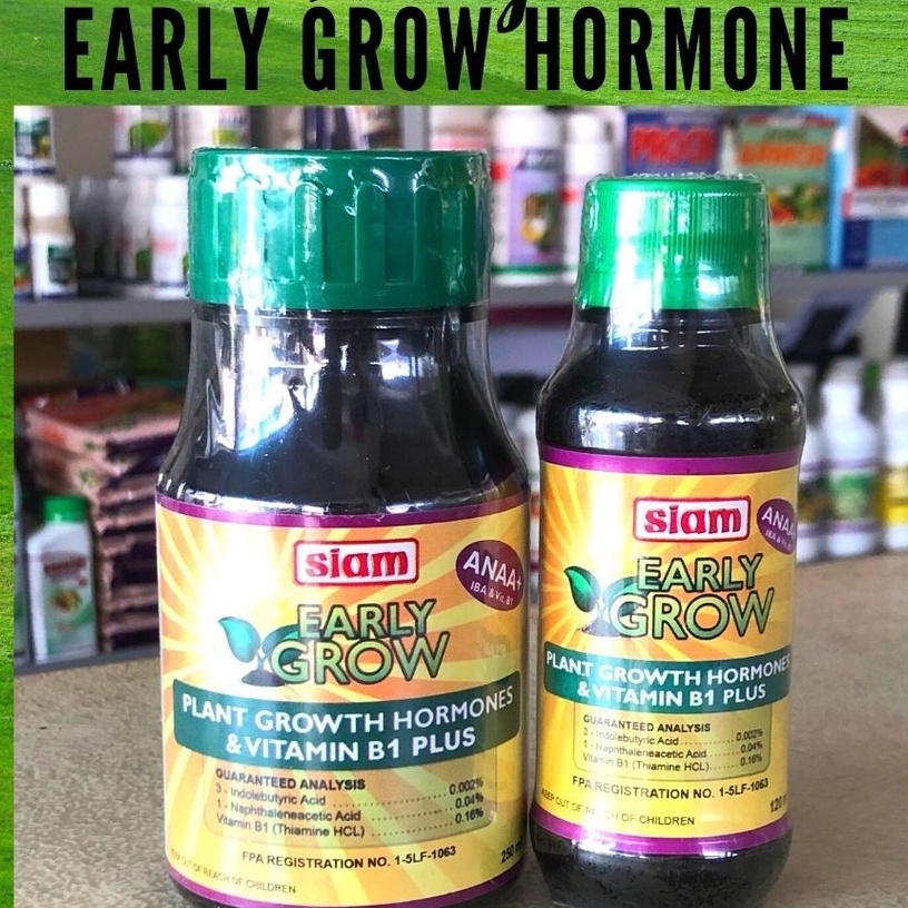 Ramgo EARLY GROW PLANT GROWTH HORMONE | Shopee Philippines
