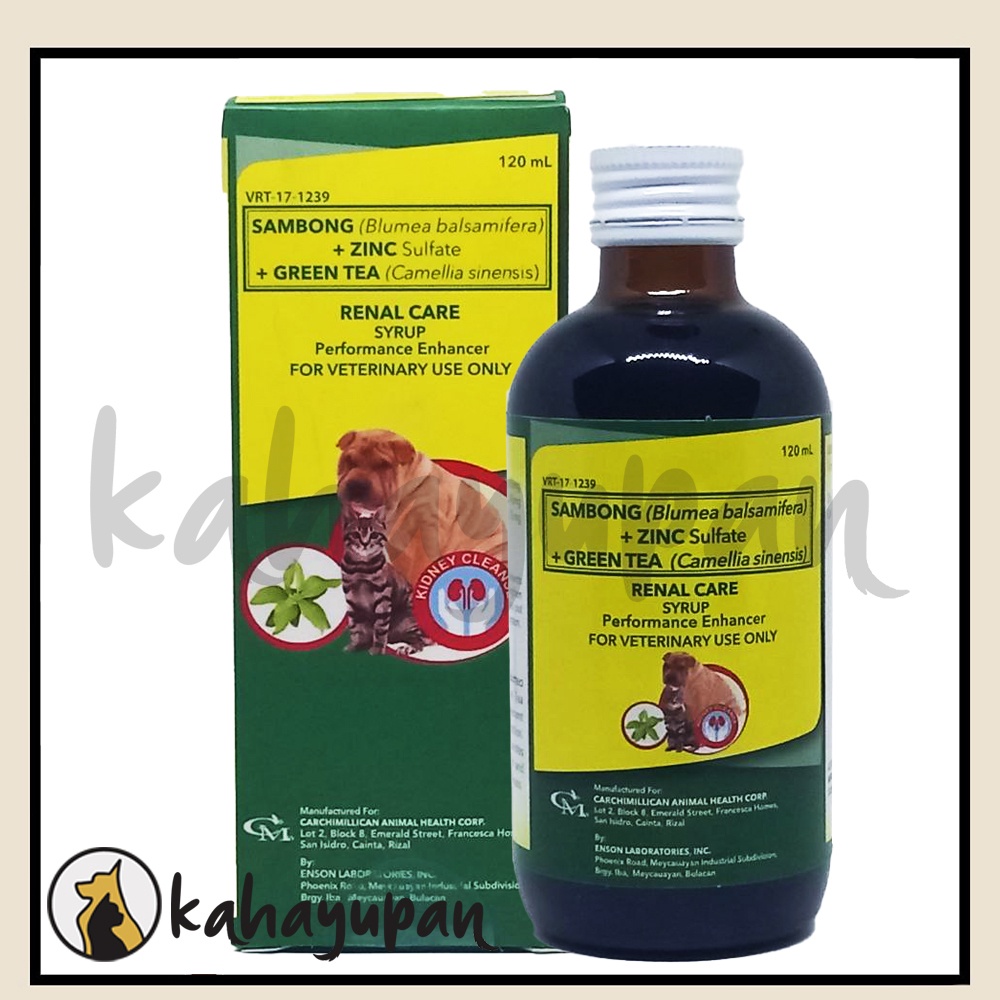 Renal Care Supplement Syrup (Sambong+Zinc Sulfate+Green Tea) 120ml ...