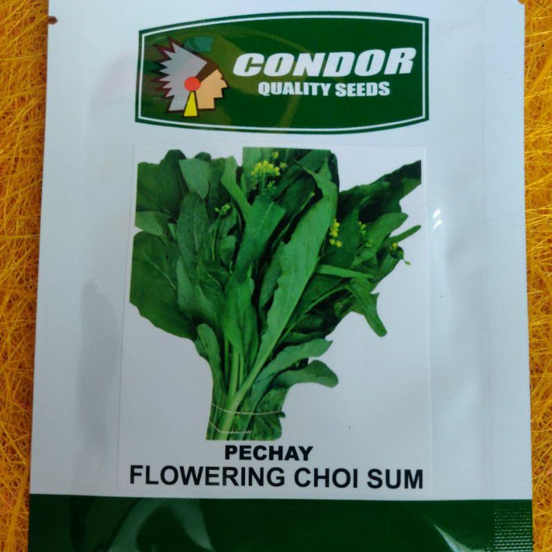 PECHAY FLOWERING SEEDS CHOI SUM SACHET 5GRMS FLOWERING PECHAY SEEDS ...