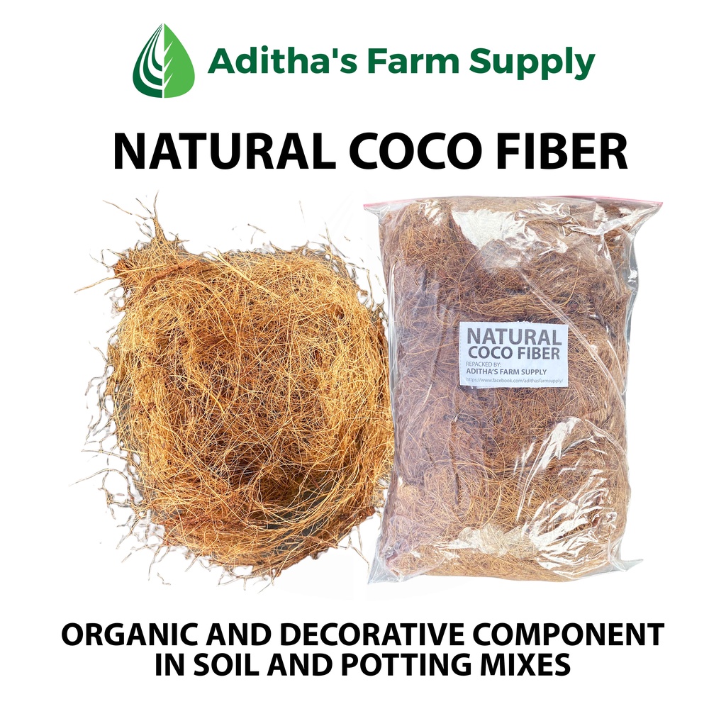 Coco Fiber - 250 grams | Shopee Philippines