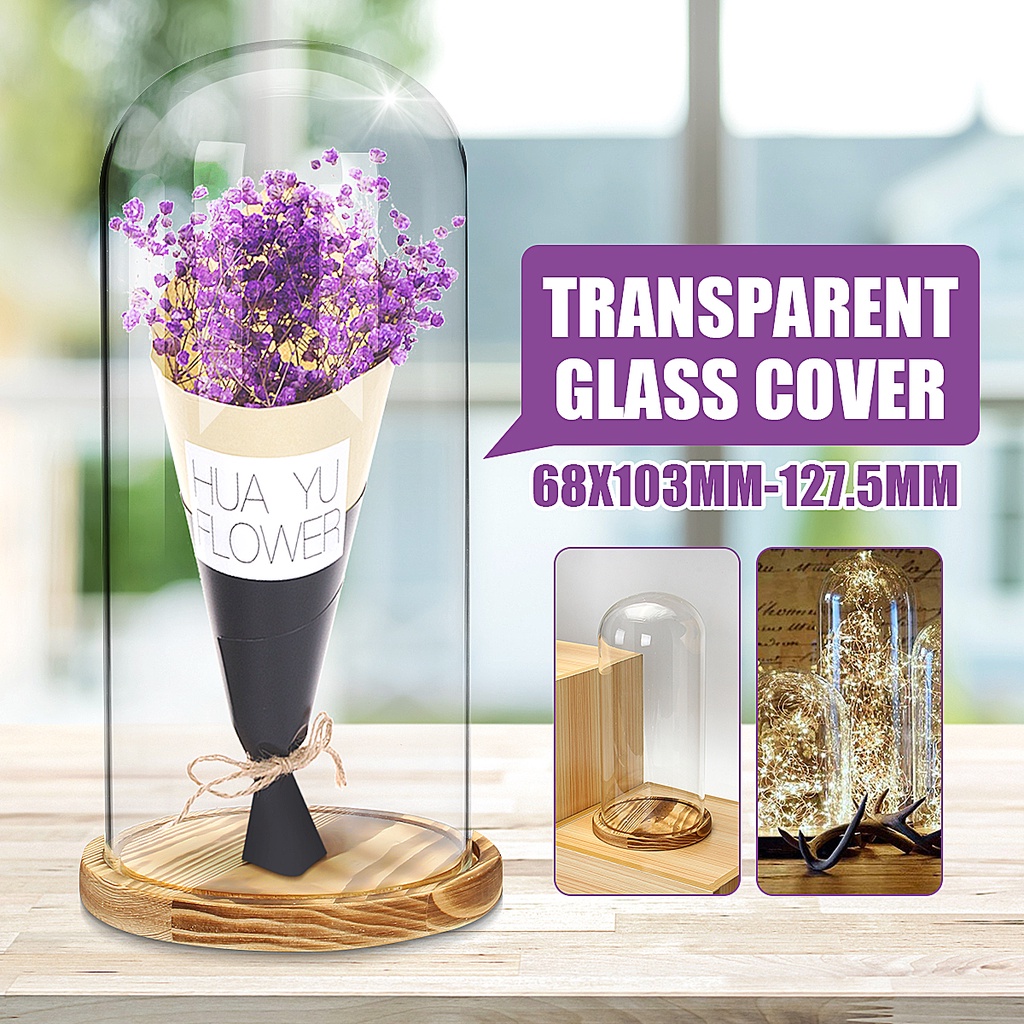 33x15cm Decorative Glass Dome Base Wooden Base Cloche Bell Jar Display ...